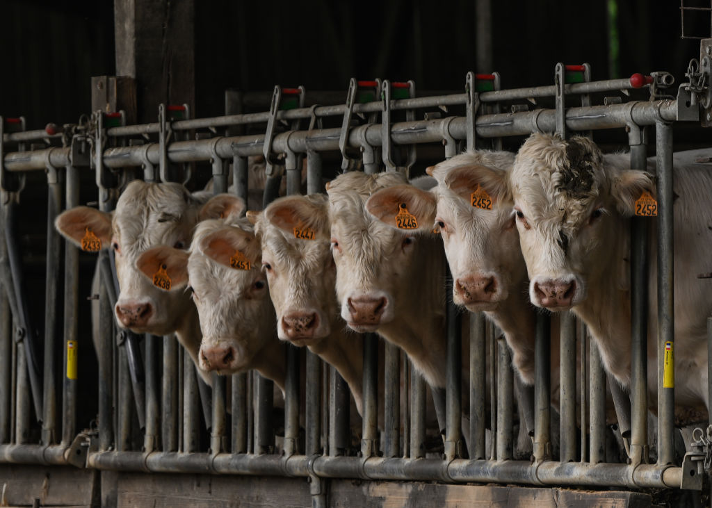 Who gets ownership of useful genetic data? - Ars Technica