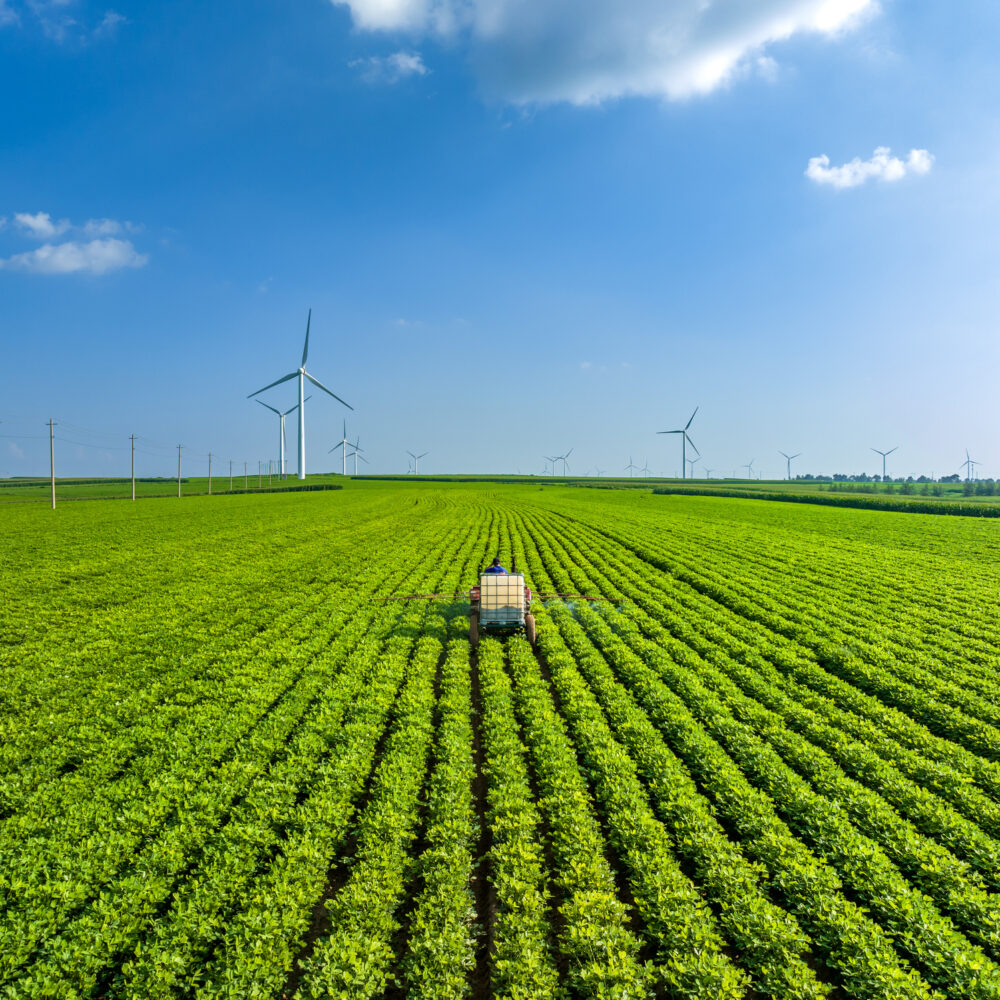 Author: Inside Climate News - Ars Technica