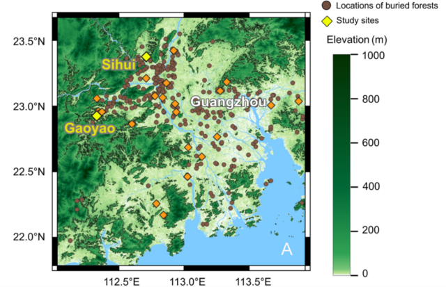 A 2,000-year-old battle ended in fire, and a tree species never ...