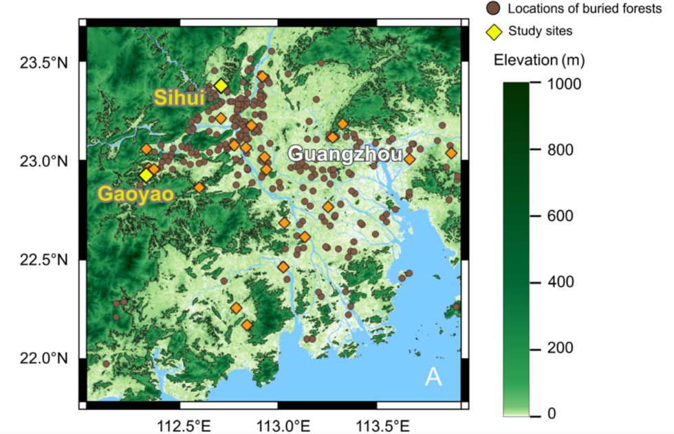 A 2,000-year-old battle ended in fire, and a tree species never ...