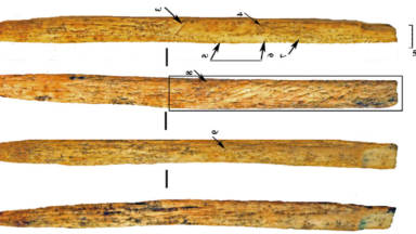 side view of a long, narrow bone spear point, from 4 different sides