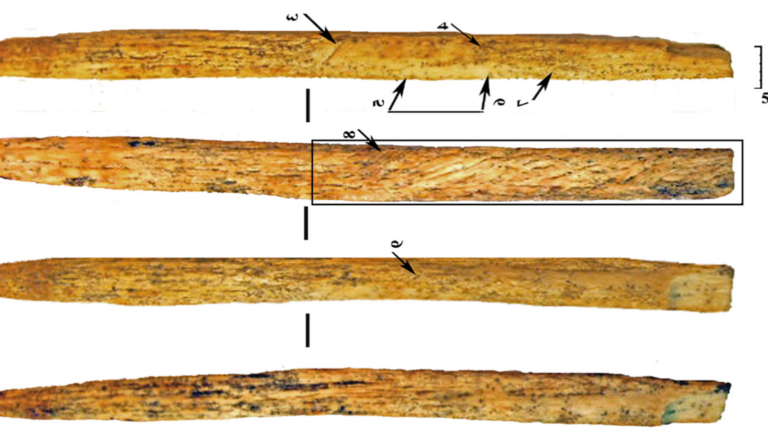 Neanderthals invented their own bone weapon technology by 80,000 years ...