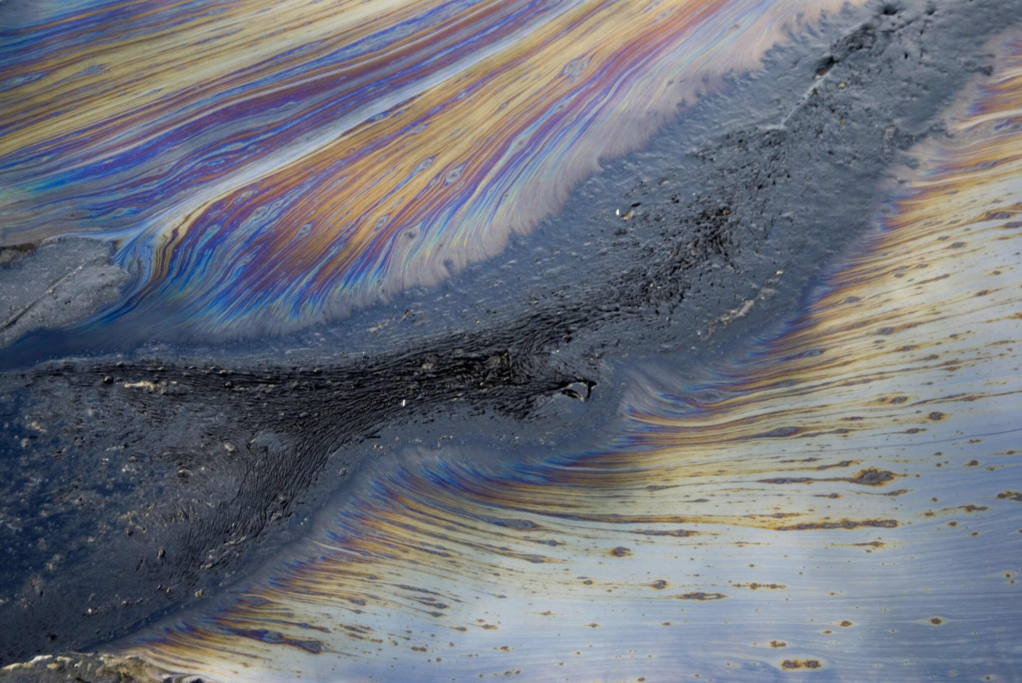 Genetically engineered bacteria break down industrial contaminants ...