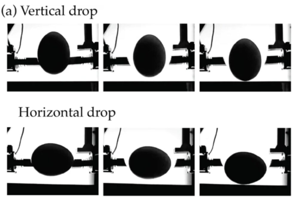 The key to a successful egg drop experiment? Drop it on its side. - Ars ...