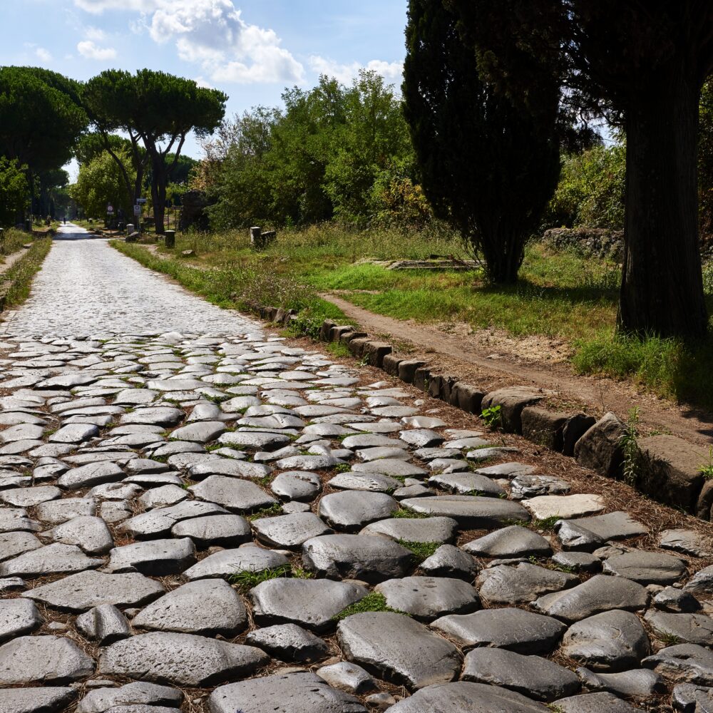 Author: Beth Mole - Ars Technica