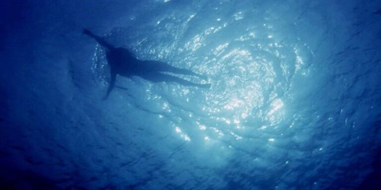 A shark scientist reflects on Jaws at 50 - Ars Technica