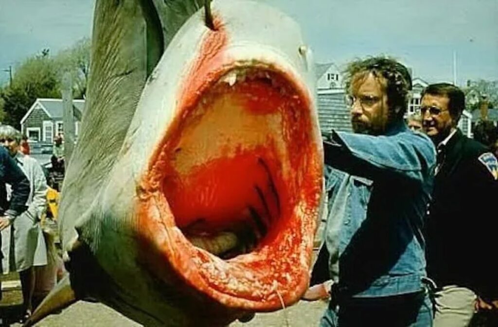 A shark scientist reflects on Jaws at 50 - Ars Technica