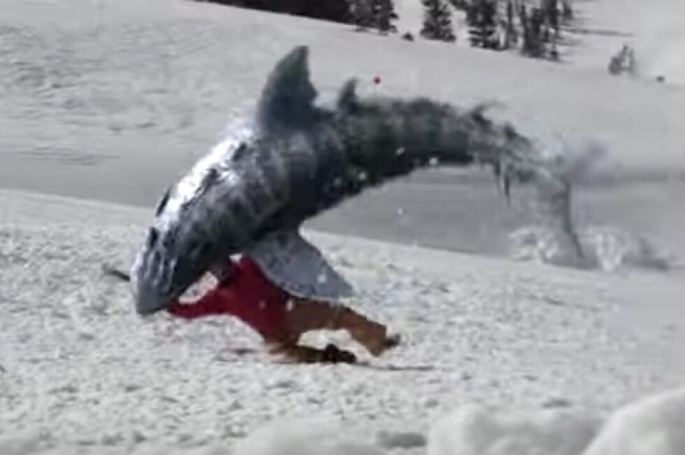 A shark scientist reflects on Jaws at 50 - Ars Technica