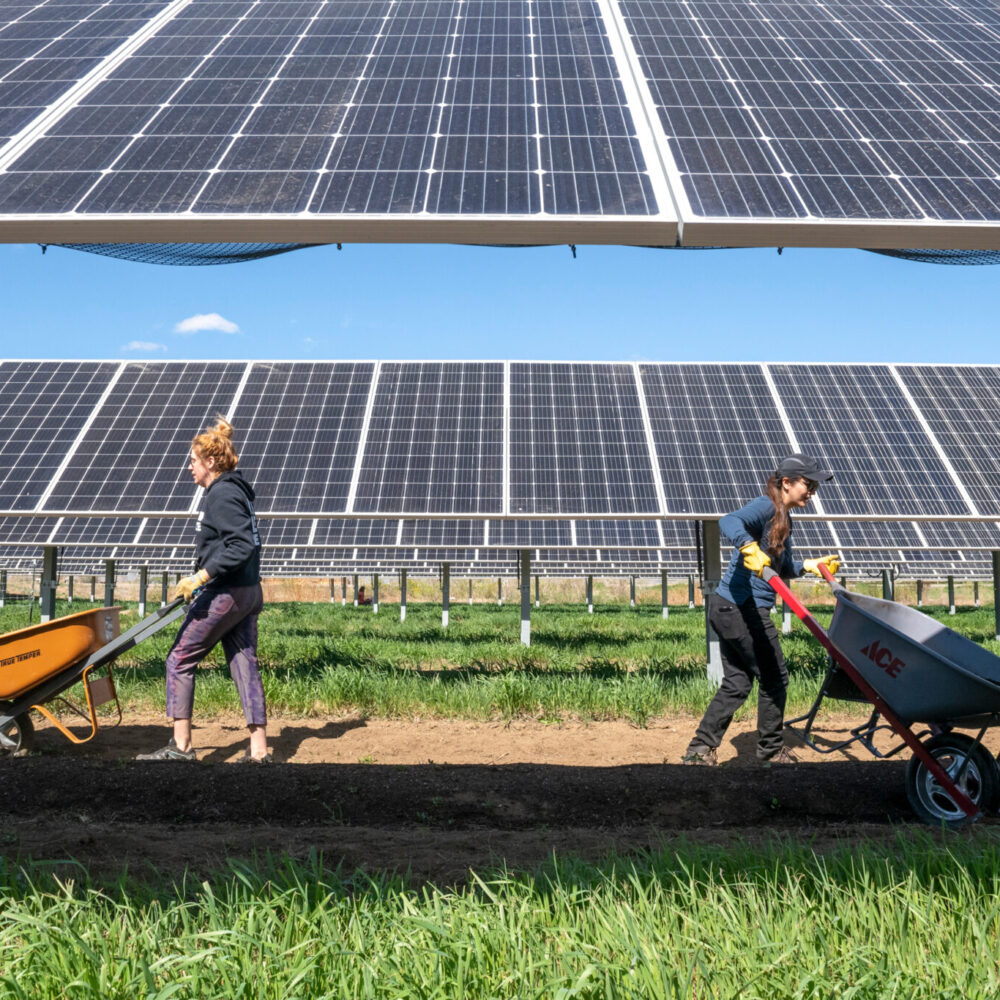 Author: Inside Climate News - Ars Technica