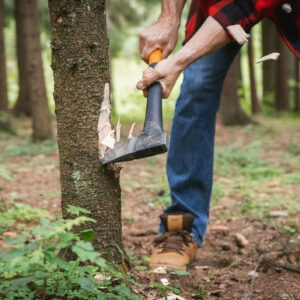 male hands with an ax hitting a tree trunk