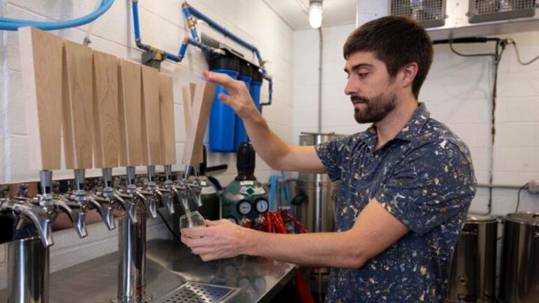 Rice could be key to brewing better non-alcoholic beer - Ars Technica