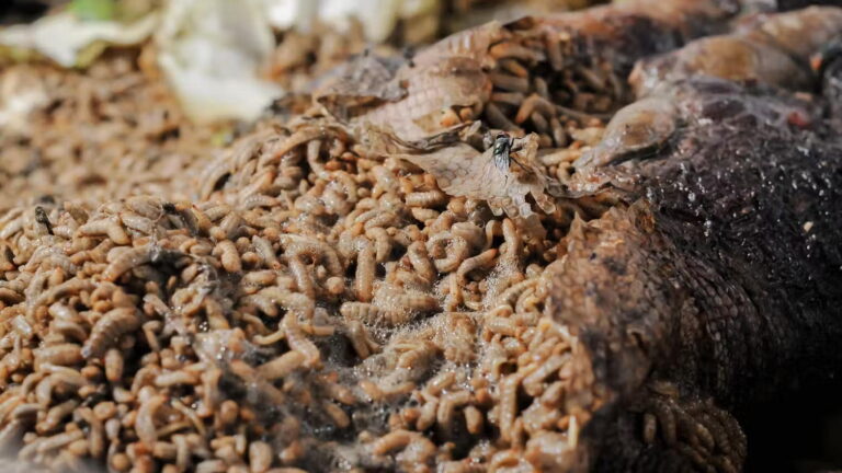 Bokep viaral it was certainly just right to get together