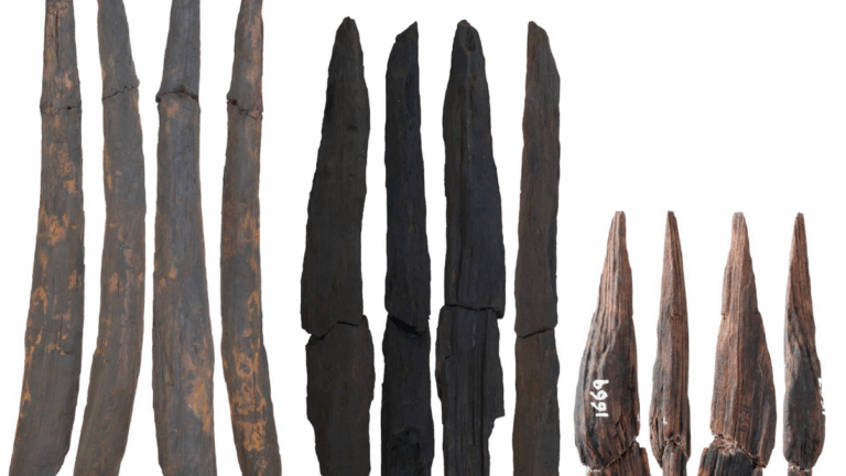 Oldest wooden tools in East Asia may have come from any of three ...