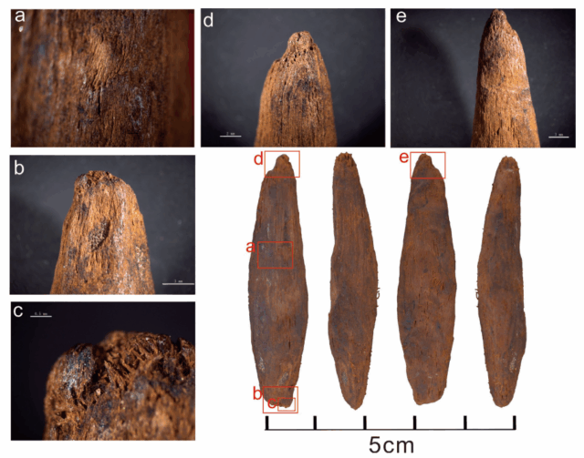 Oldest wooden tools in East Asia may have come from any of three ...