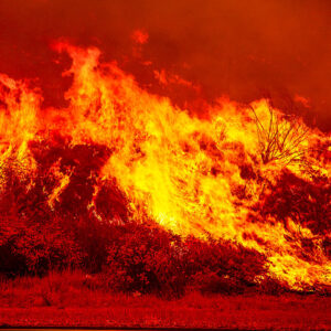 A meadow ending in trees in the distance. The trees are burning furiously, giving the entire scene an orange glow.