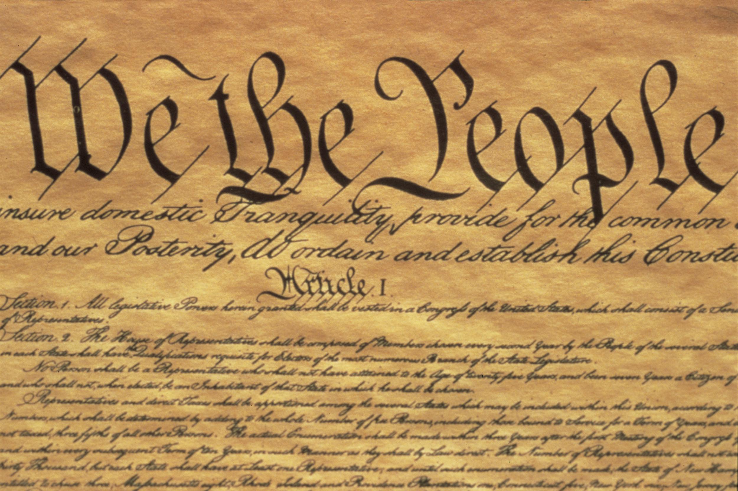 Coding error blamed after parts of Constitution disappear from US ...