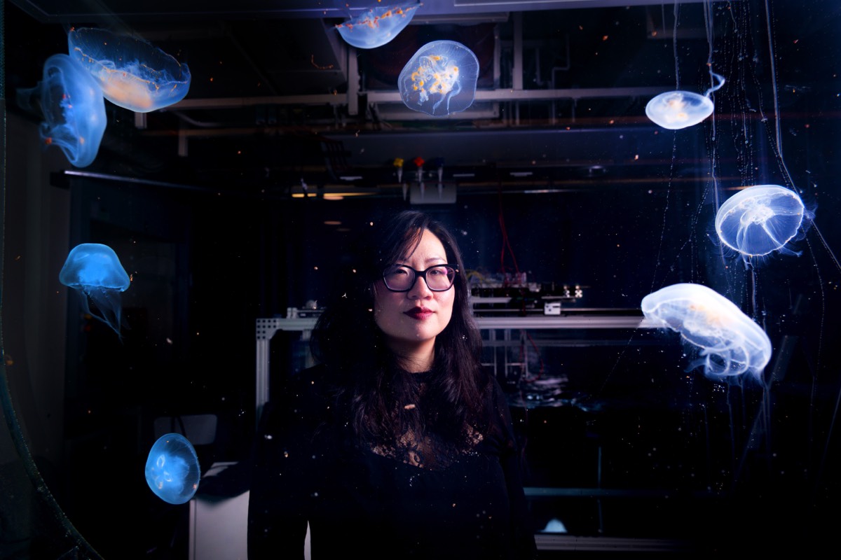 Scientists are building cyborg jellyfish to explore ocean depths - Ars ...