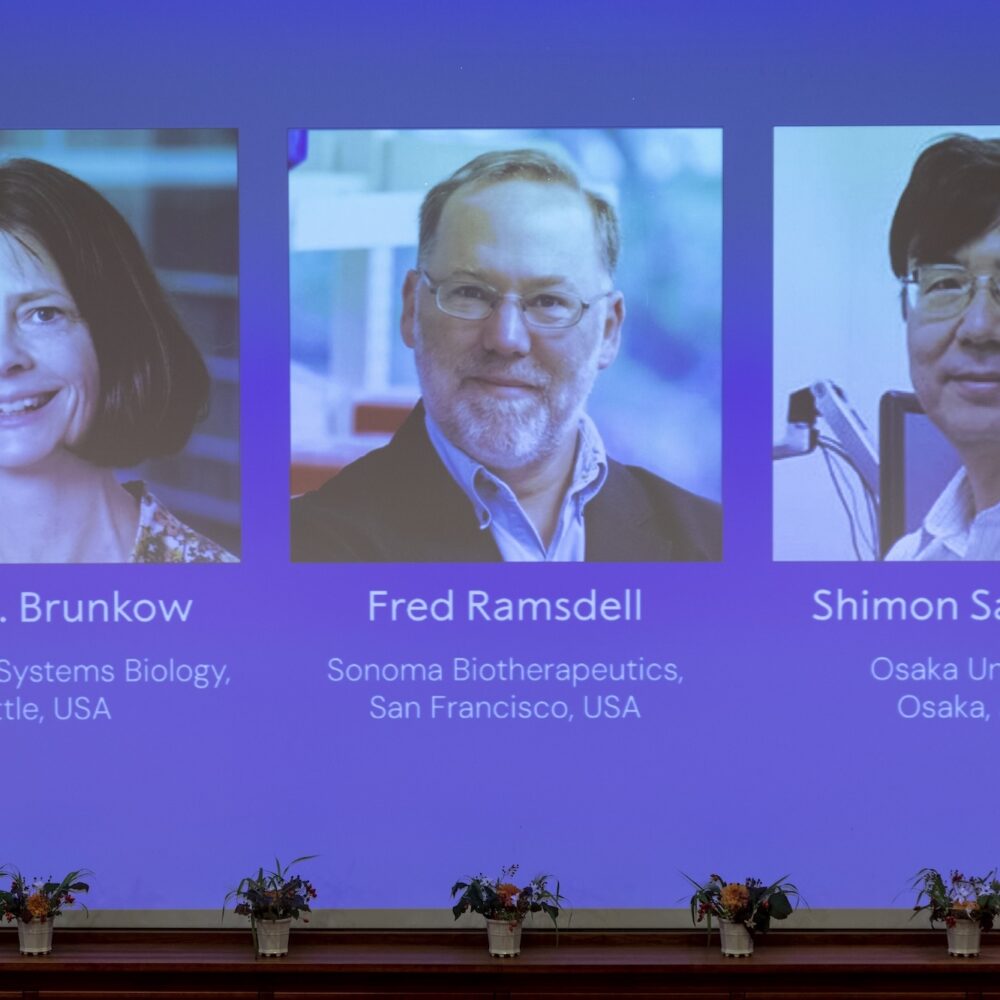 Author: Beth Mole - Ars Technica