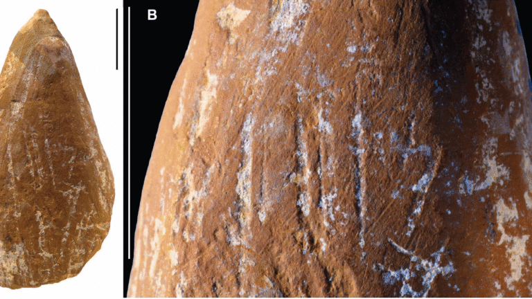 Wear marks suggest Neanderthals made ocher crayons - Ars Technica