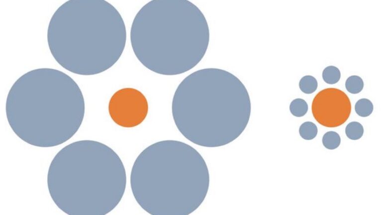 Do animals fall for optical illusions? It’s complicated. - Ars Technica