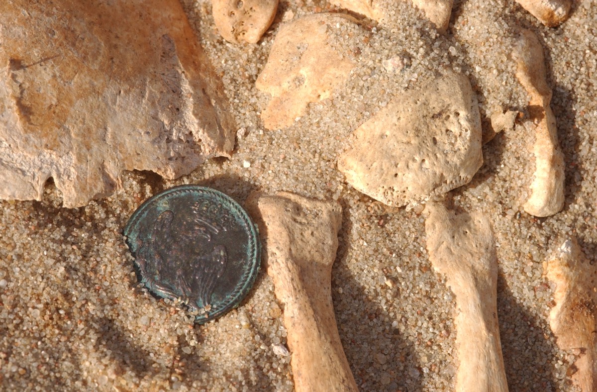 DNA analysis reveals likely pathogens that killed Napoleon’s army - Ars ...