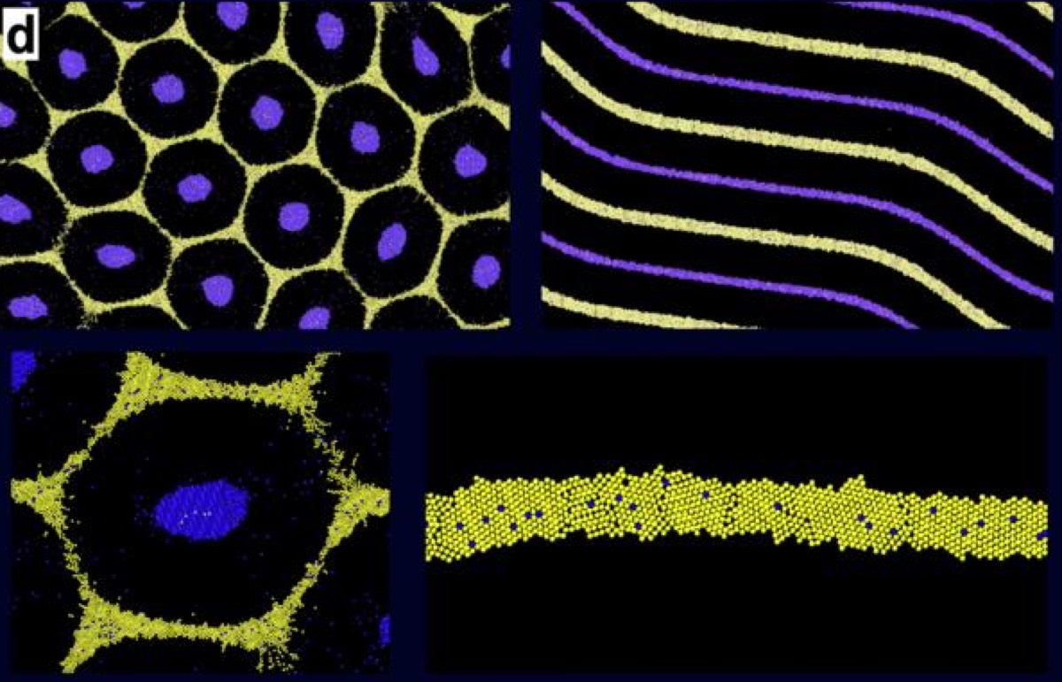 Why imperfection could be key to Turing patterns in nature - Ars Technica