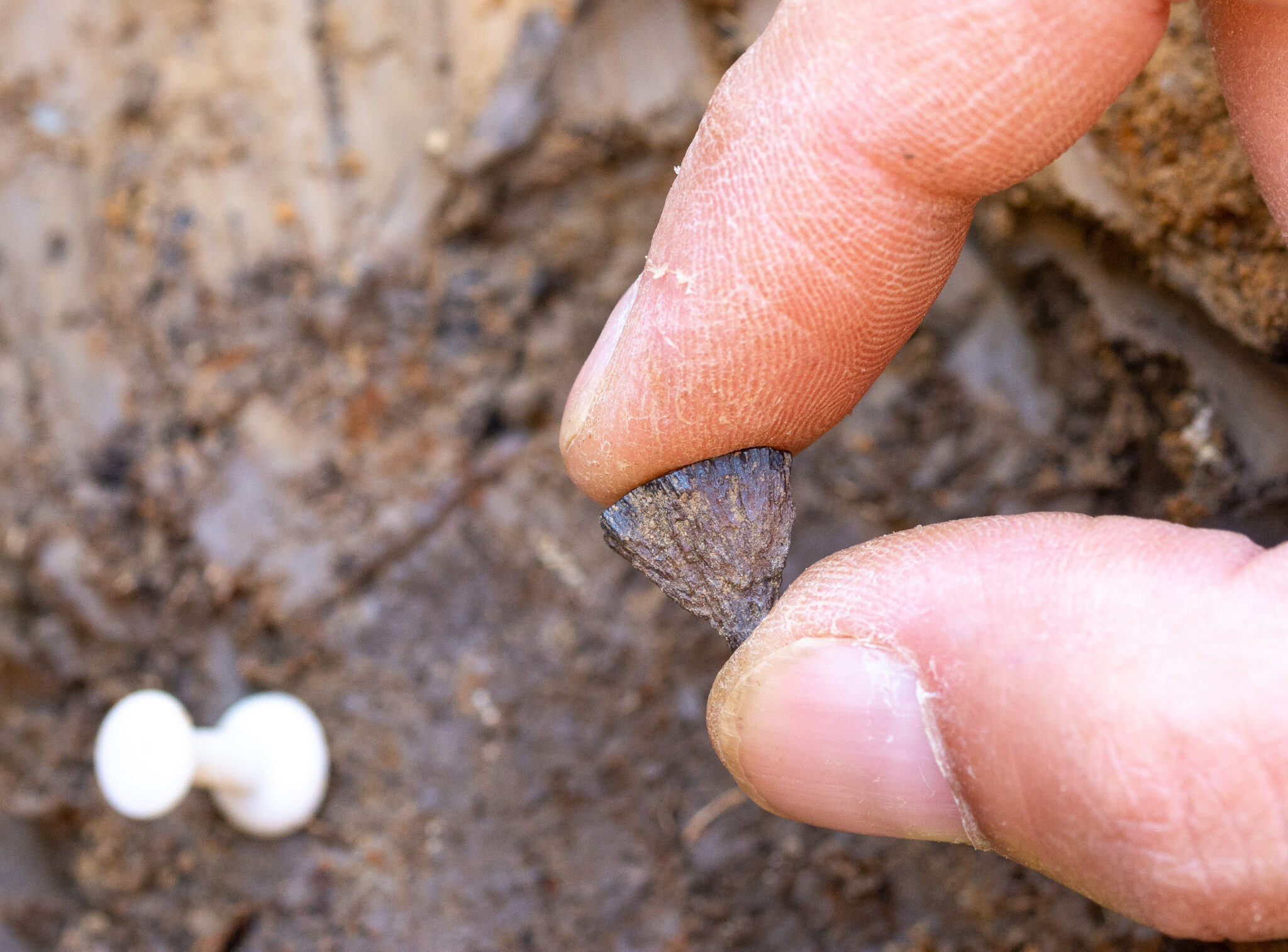 This is the oldest evidence of people starting fires - Ars Technica