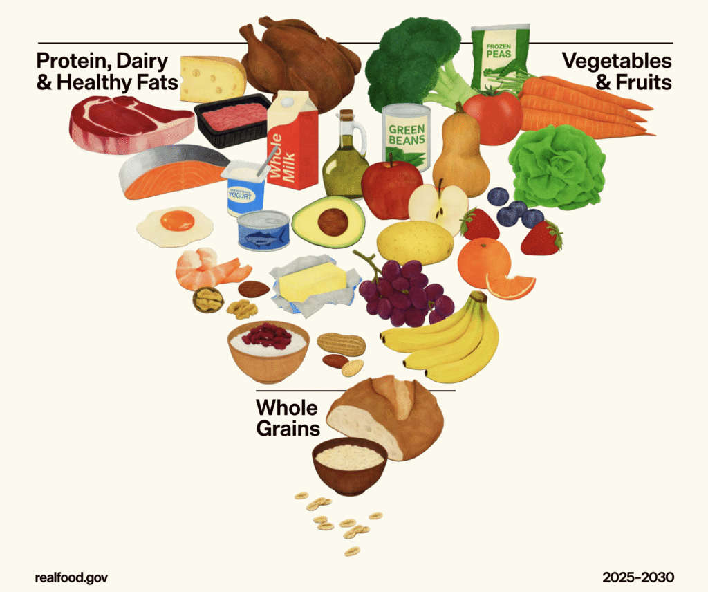RFK Jr. food pyramid site links to Grok, which says you shouldn’t trust ...