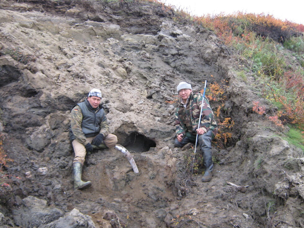 Scientists sequence a woolly rhino genome from a 14,400-year-old wolf’s ...