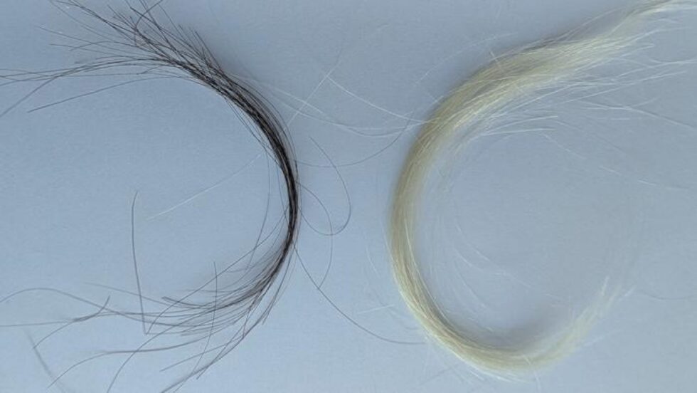 A century of hair samples proves leaded gas ban worked - Ars Technica