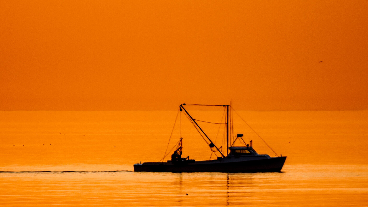 Fishing crews in the Atlantic keep accidentally dredging up chemical ...