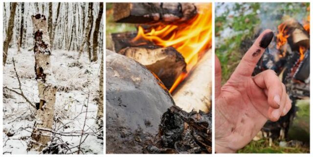 Never mind Band-Aids, Neanderthals had antiseptic birch tar - Ars Technica