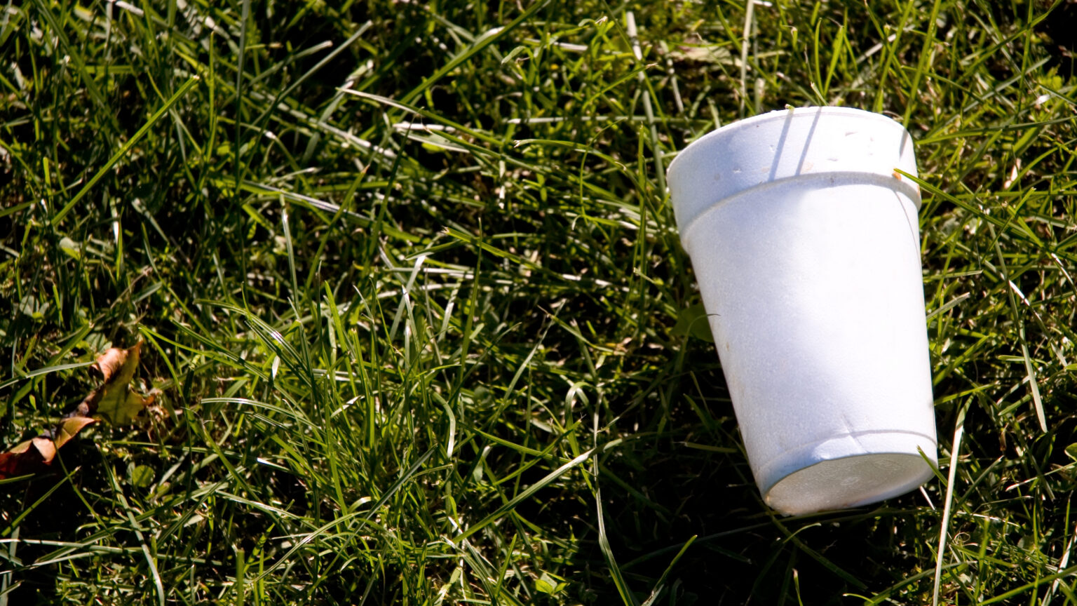Your empty cuppa could capture carbon - Ars Technica