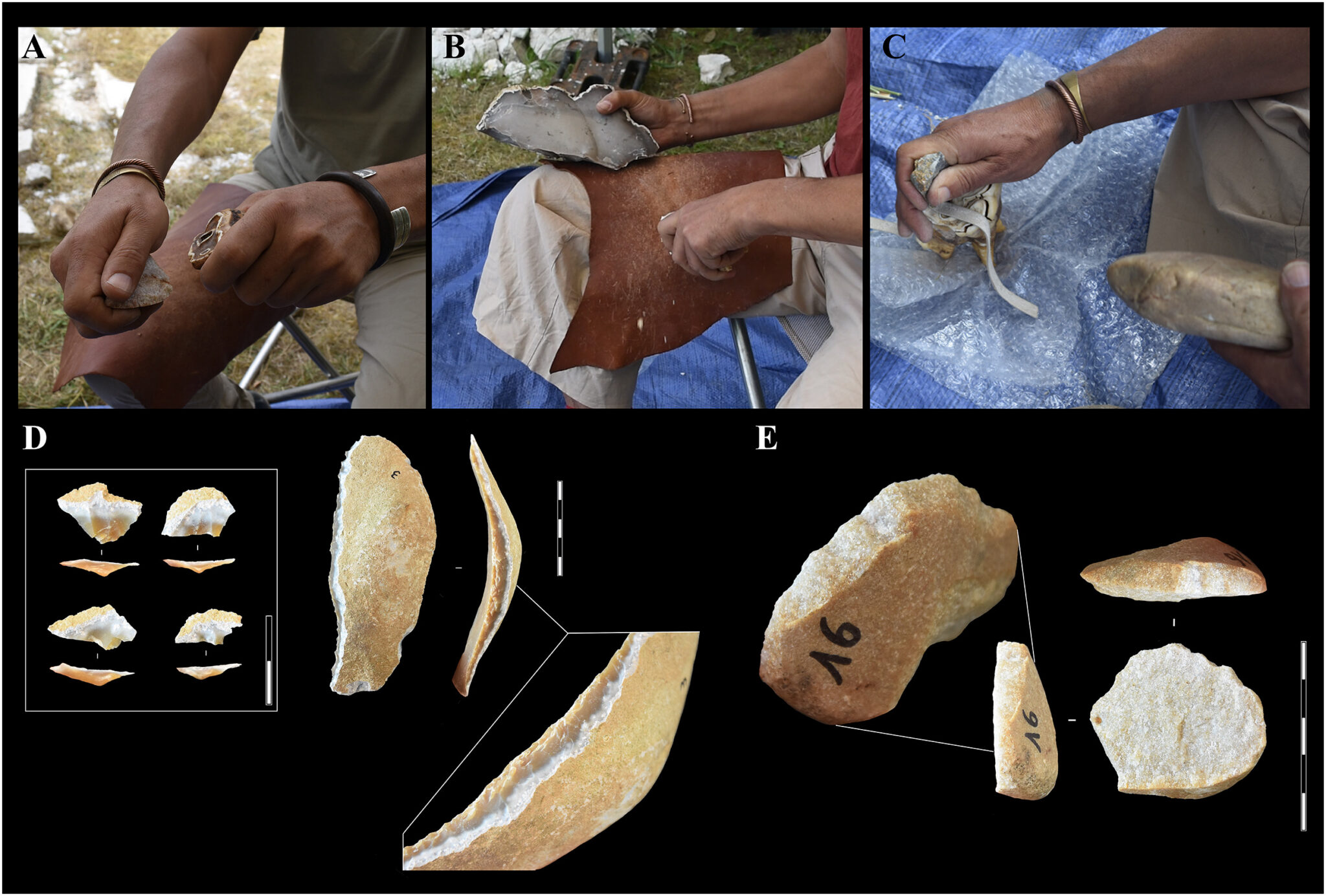 If I had a hammer… it might actually be a rhino tooth - General News ...