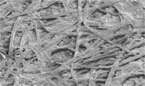 Forget watermarks; new technique “fingerprints” paper - Ars Technica