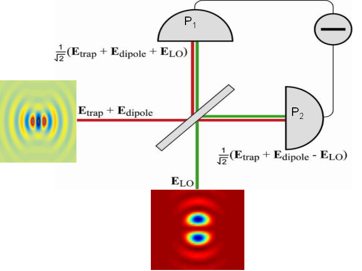 A new look at optical tweezers - Ars Technica