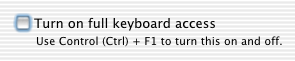 The keyboard focus "glow"