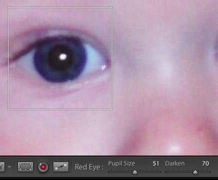 Adobe Photoshop Lightroom: the Ars Technica review - Ars Technica