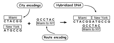 DNA Computing - Ars Technica