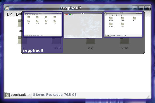 Bring on the bling with Beryl: a look at a new Linux window manager ...