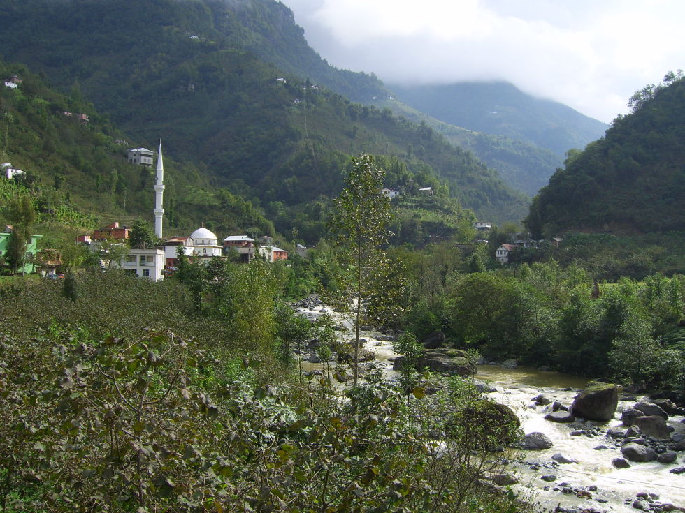 The curious case of whistled languages and their lack of left-brain ...