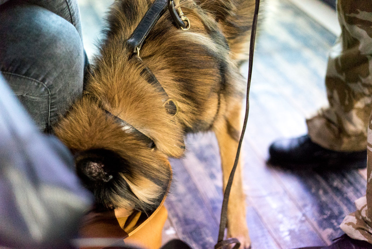 Virtually Dead: Go for the VR, stay for the terrifying zombies - Ars Technica