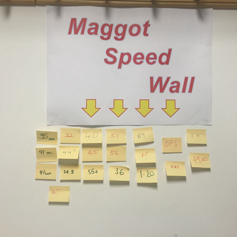 Crime Scene Live review: Be a CSI at London’s Natural History Museum ...