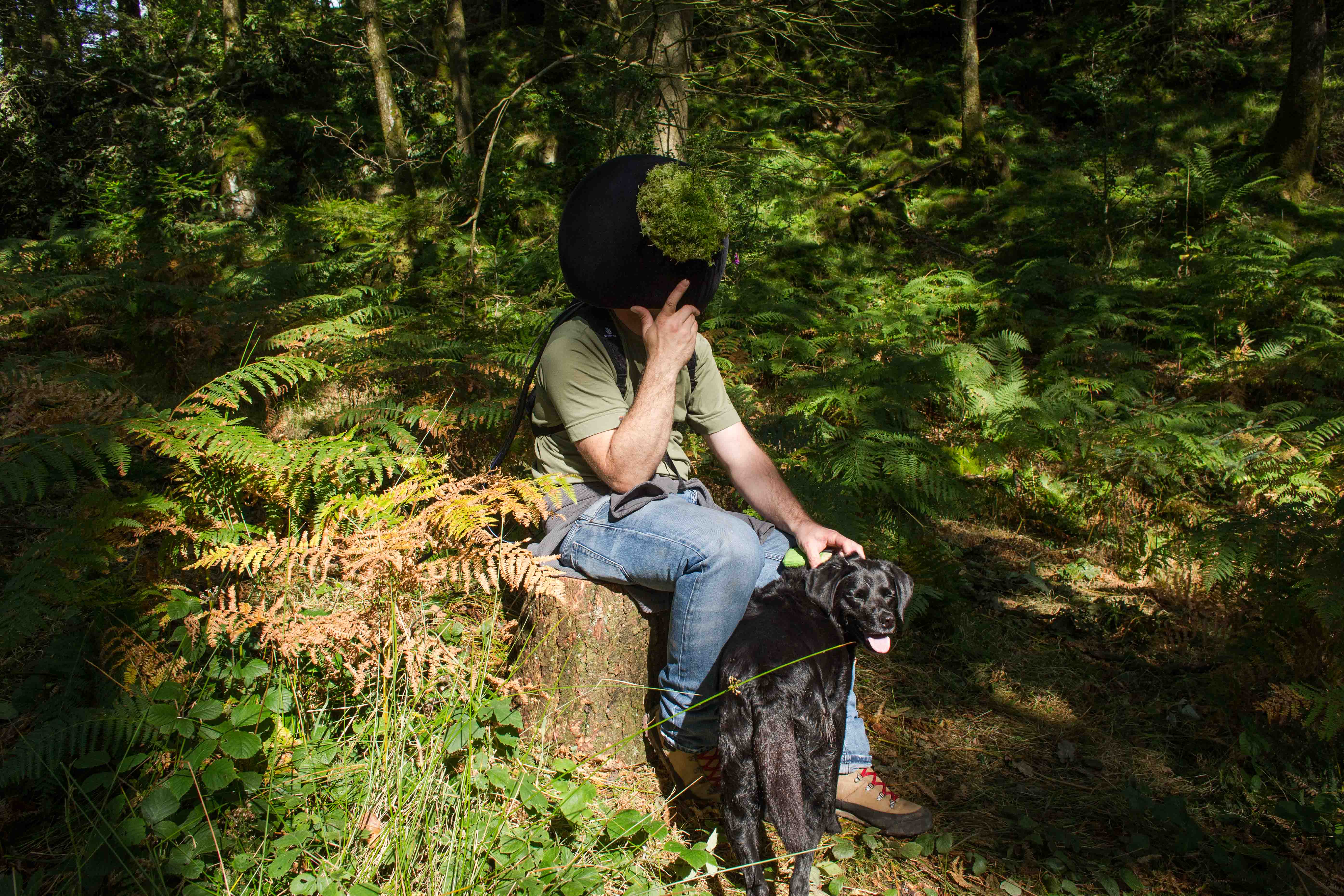 Eyes of the Animal lets you become a bat—in VR - Ars Technica