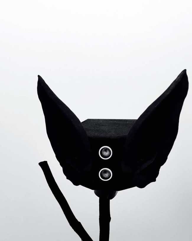 Eyes of the Animal lets you become a bat—in VR - Ars Technica